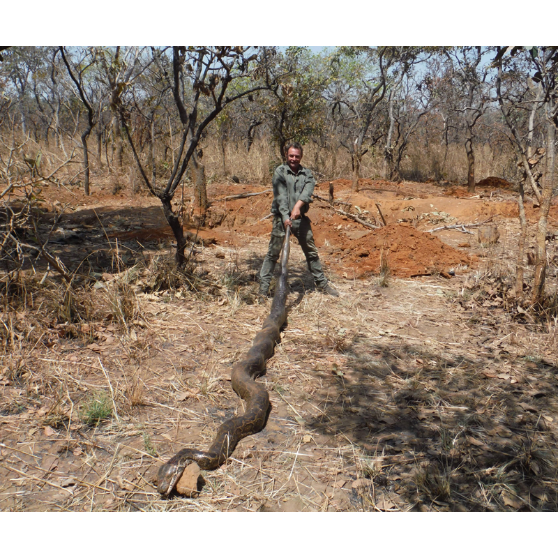 Customised hunting trips and safaris by Travels and Expeditions, your ...