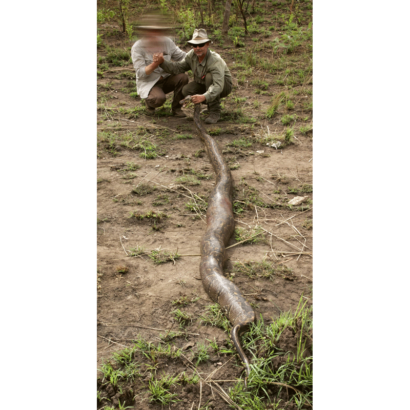 Customised hunting trips and safaris by Travels and Expeditions, your ...